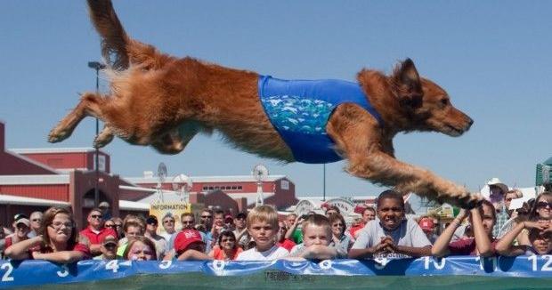 DockDogs competition Aug. 29-30