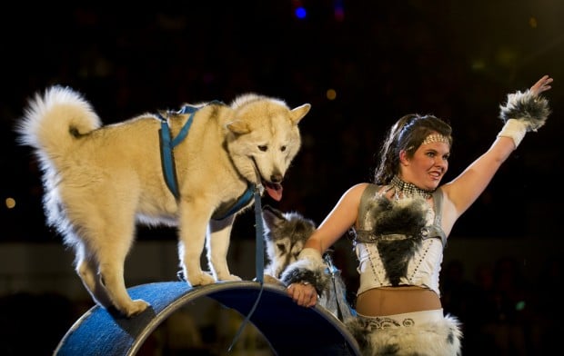 Photos: The wonders of living in Lincoln | Photo galleries ...