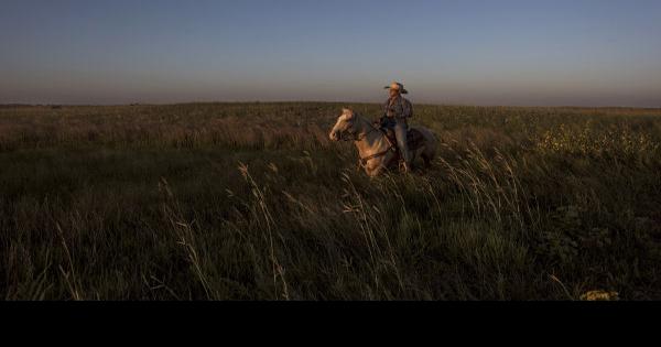 The Nebraska Project