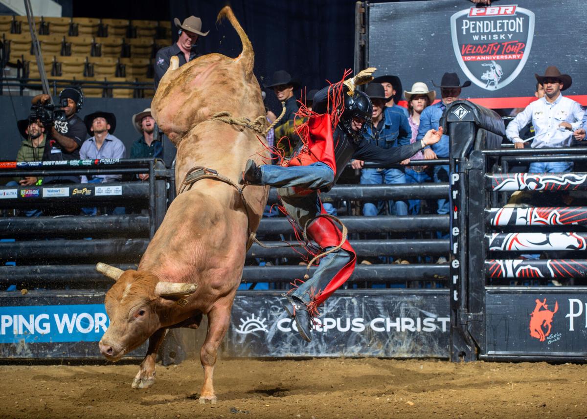 Larry the Cable Guy will pay $10K for successful bull ride