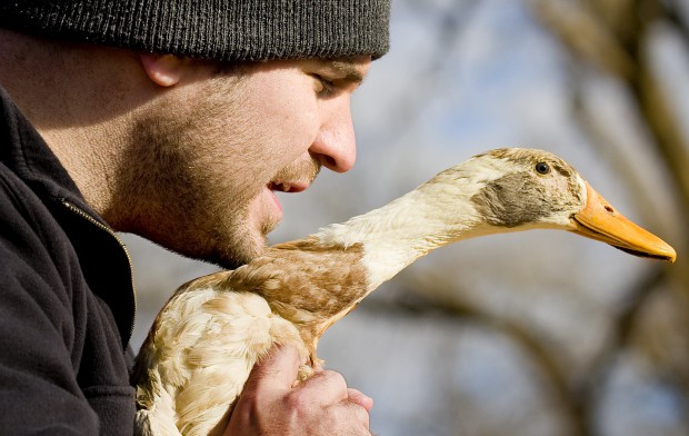 Racers flock to Avoca Quack-Off