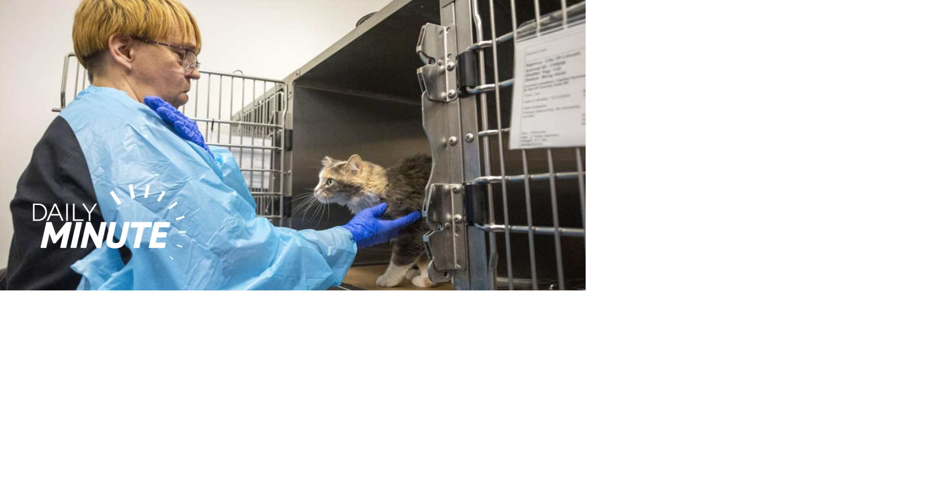 Daily Minute: New take on detox; Humane Society ups price; task force ...