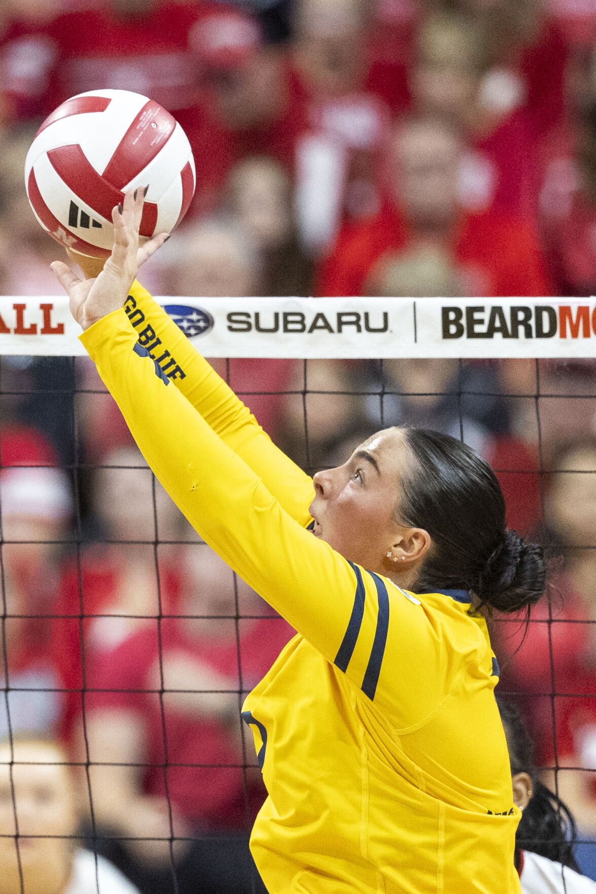 Why Nebraska produces the most NCAA volleyball players per capita