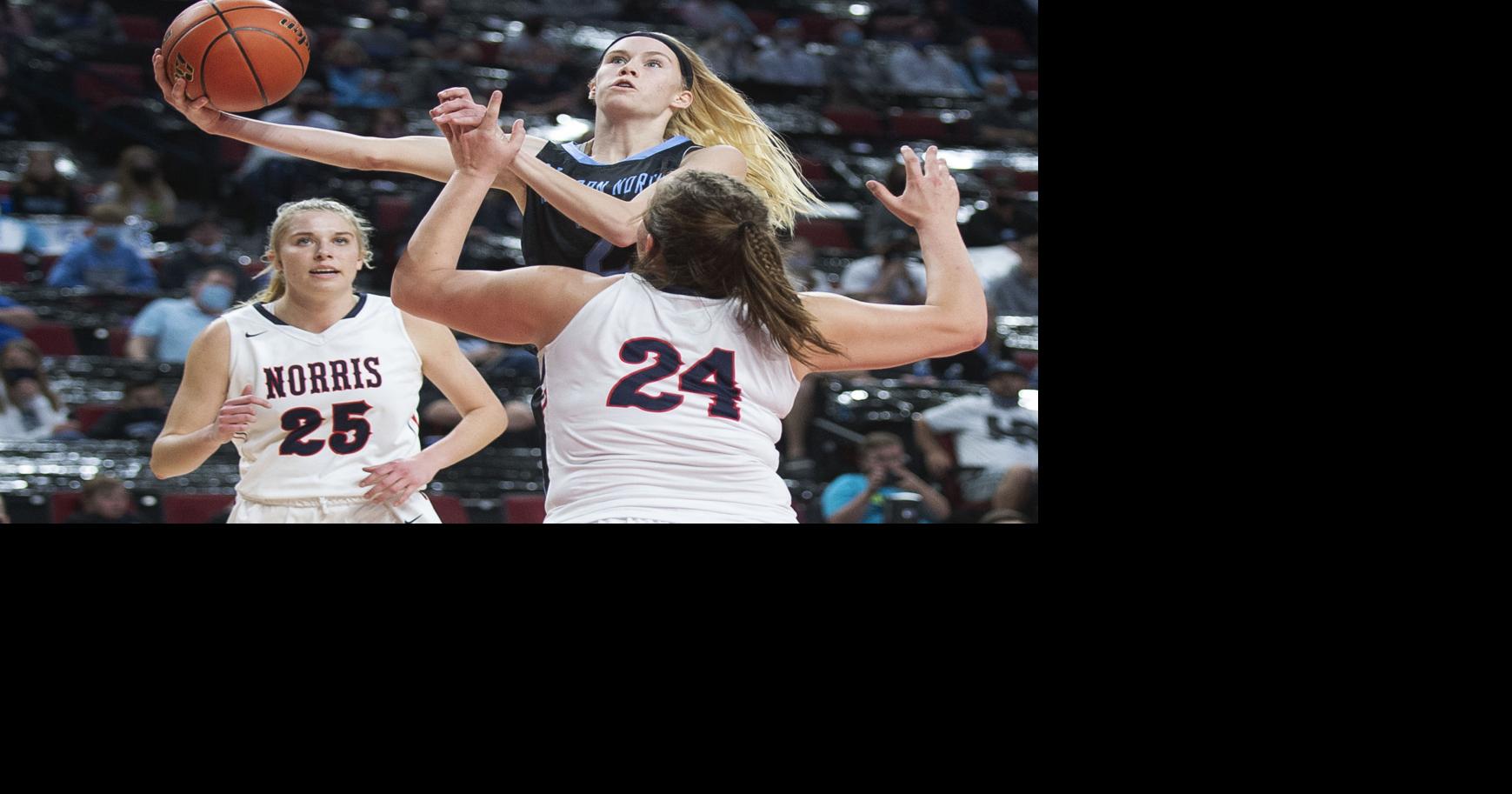 Girls hoops superlatives: Storylines to watch, young players to watch ...