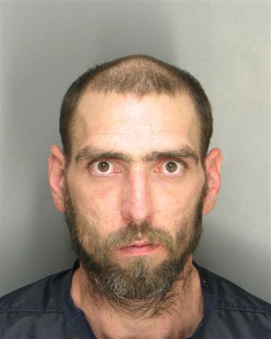 Dog attack leads to arrest for warrants and marijuana possession