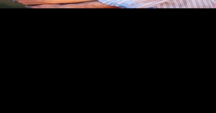 Amber Thomson and Andrew Pitts