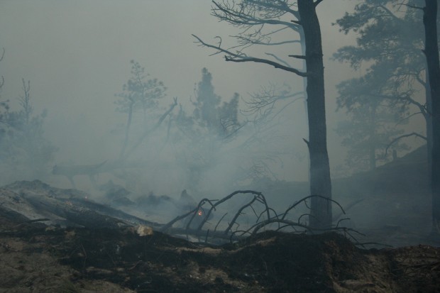 Northwest Nebraska wildfire battle winding down
