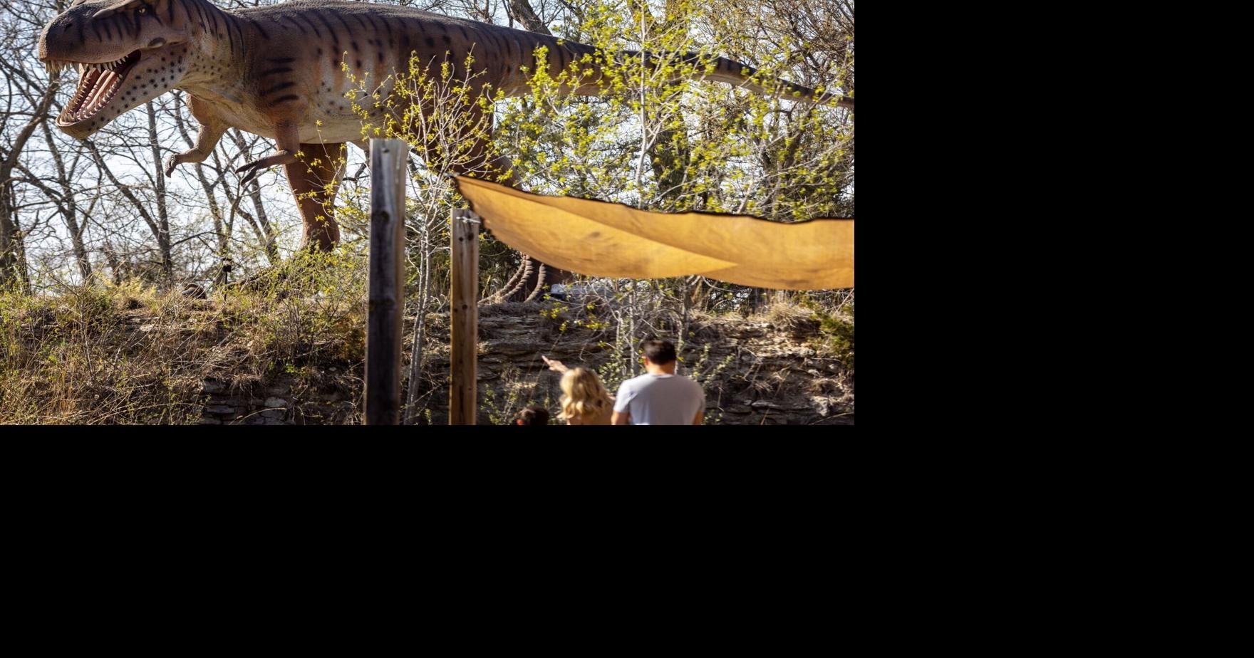 Lifelike dinosaurs now among the creatures at Ashland Wildlife Safari Park