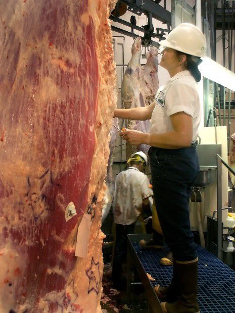 Beef price spike is biggest in a decade | Agriculture | journalstar.com