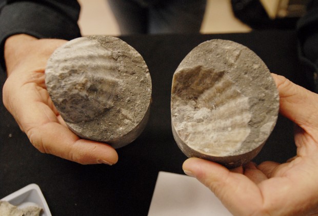 NOVA ice special challenges NET crew