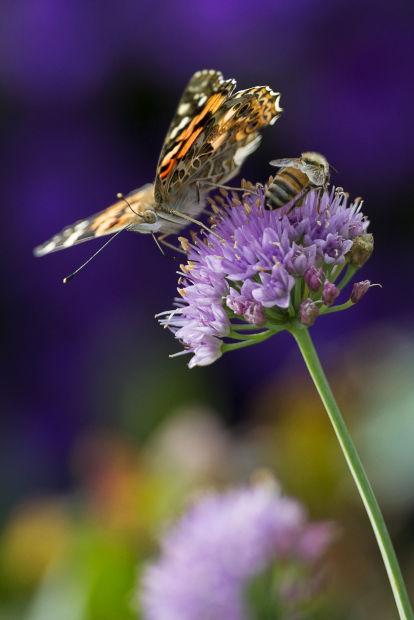 Photos: Fall splendor spreads across the state