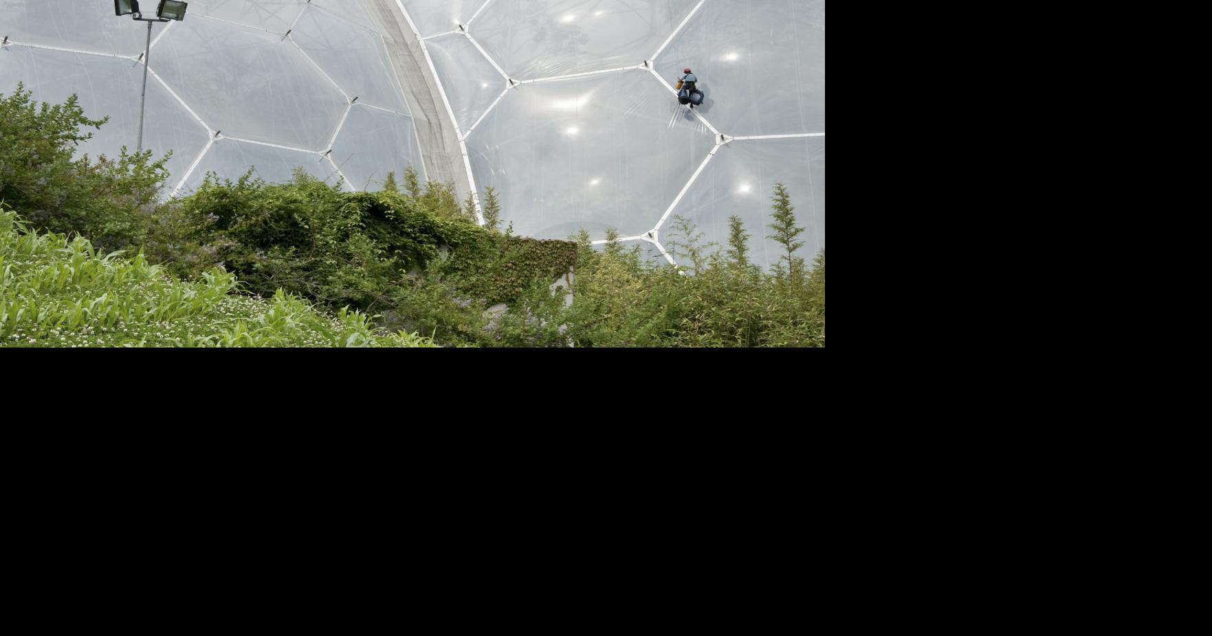 L. Kent Wolgamott: Dana Fritz's 'Terraria Gigantica' looks at enclosed ...