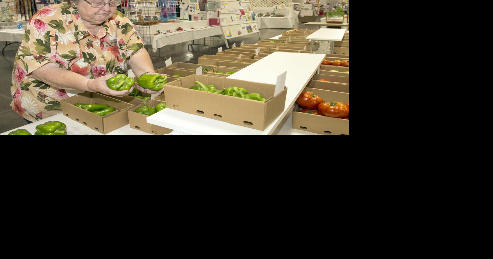 Lancaster County Super Fair Sunday highlights