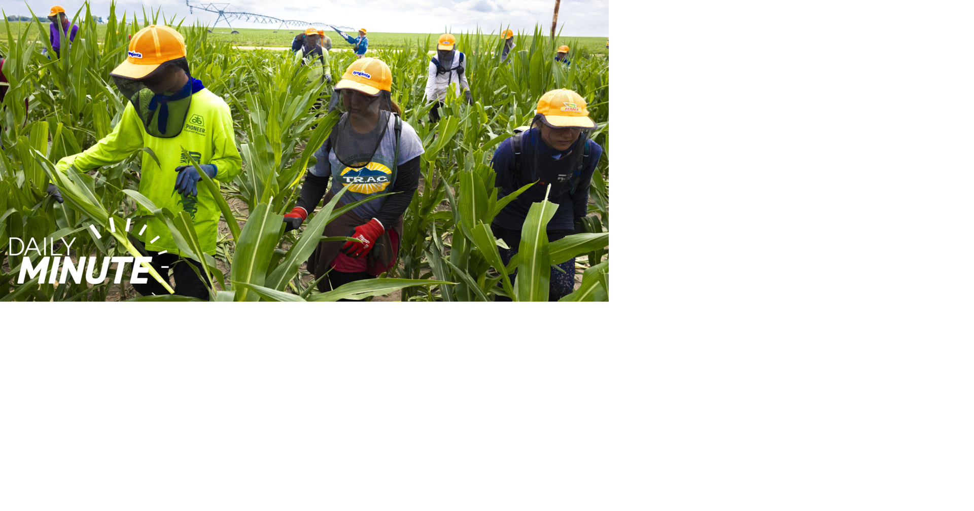 Daily Minute: Rival abortion campaigns; Lincoln drought free; Dorothy ...