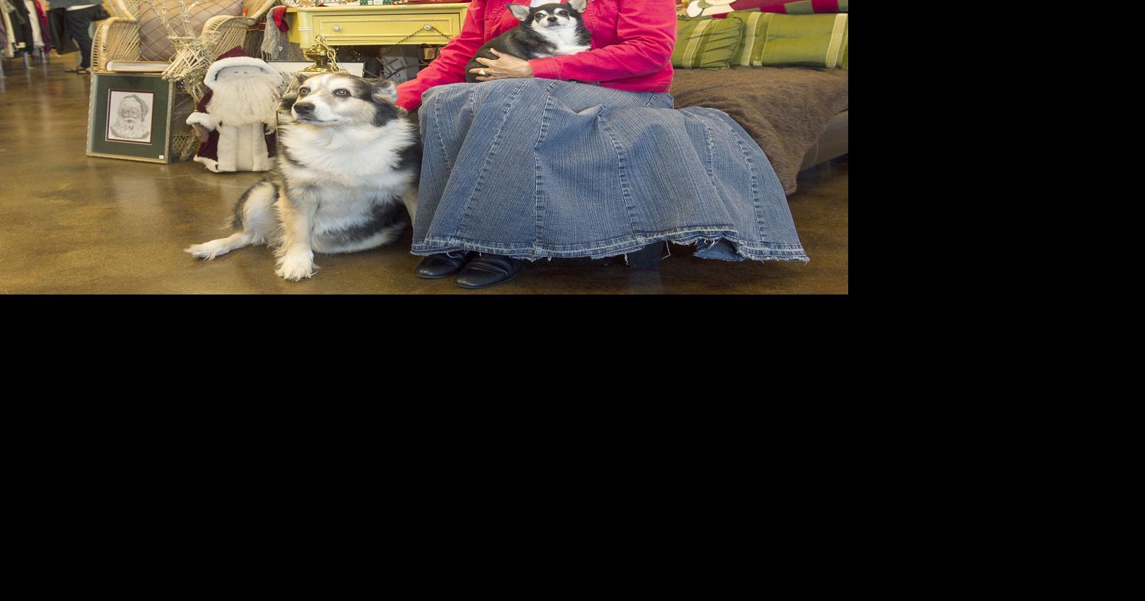 Nonprofit owner for pets upset over $148 Animal Control ticket