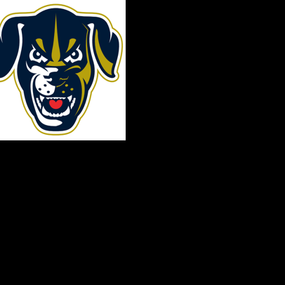 Saltdogs roll out new logo to celebrate 15th season