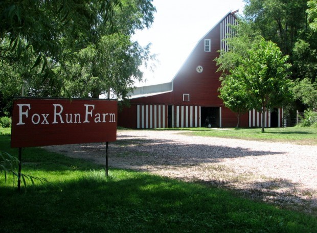 Fox Run Farms