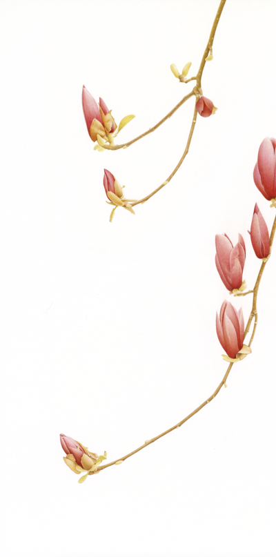 Souto's solo show opens Friday at Kiechel Fine Art