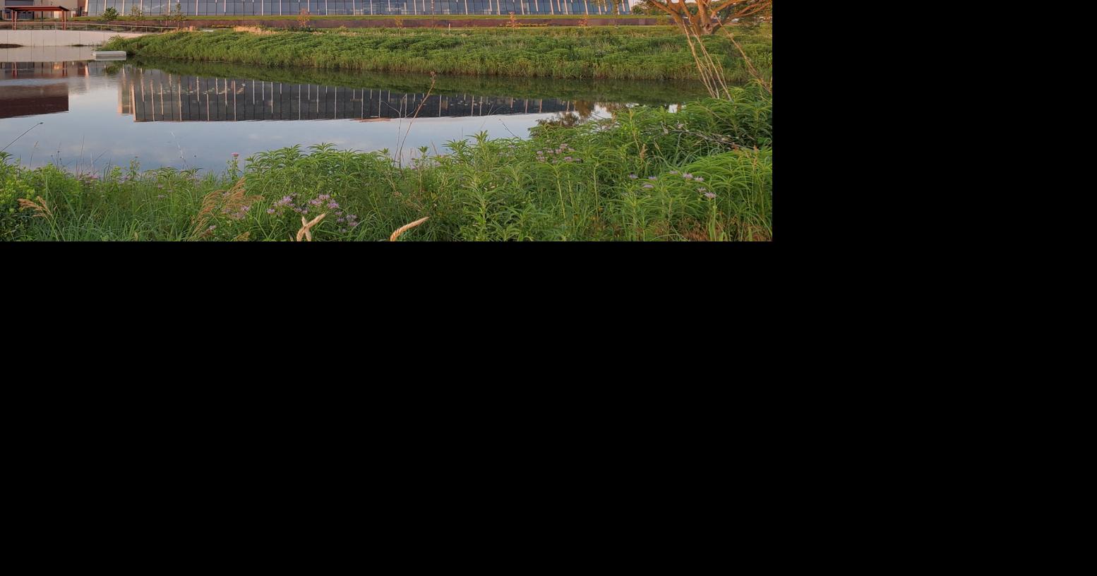 Lincoln Electric System seeks to raise 2025 rates