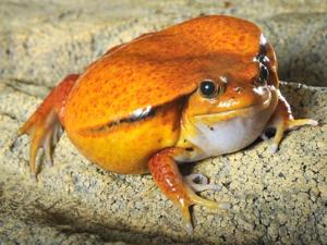 Photos: New at the Zoo