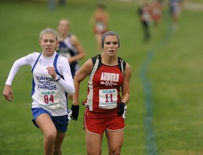State cross country results