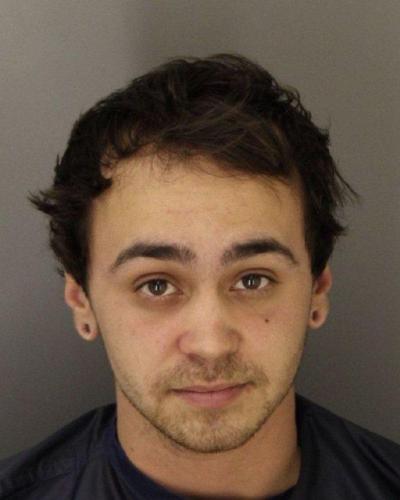 Police arrest suspected vandal