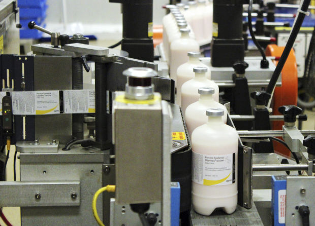 New PEDv vaccine made by Zoetis in Lincoln