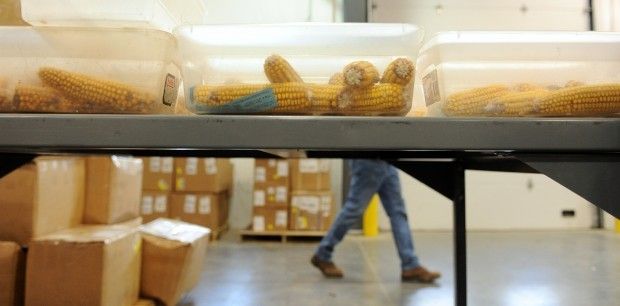 Monsanto expanding west of Lincoln