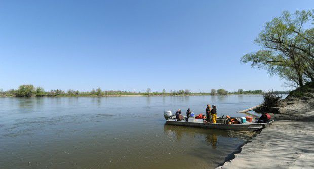 Bill would drop corps' Missouri River wildlife focus