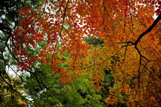 Photos: Fall colors in Nebraska