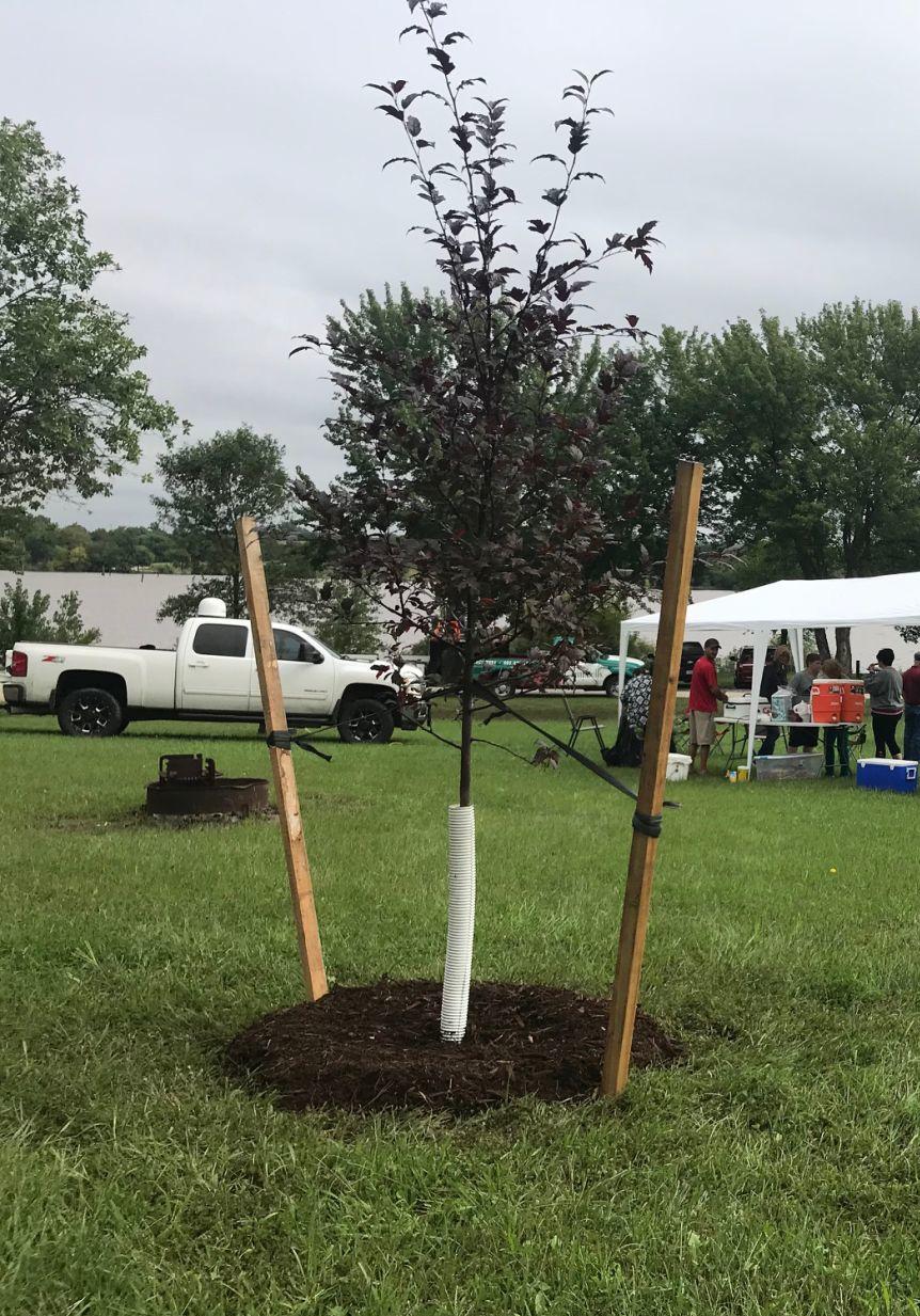 Family, organ recipients remember Ryan Post at celebration for Norris ...