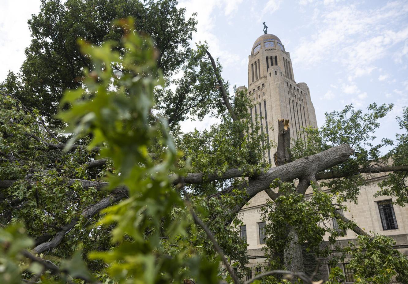 President Trump OKs Nebraska disaster declaration for Aug. 9