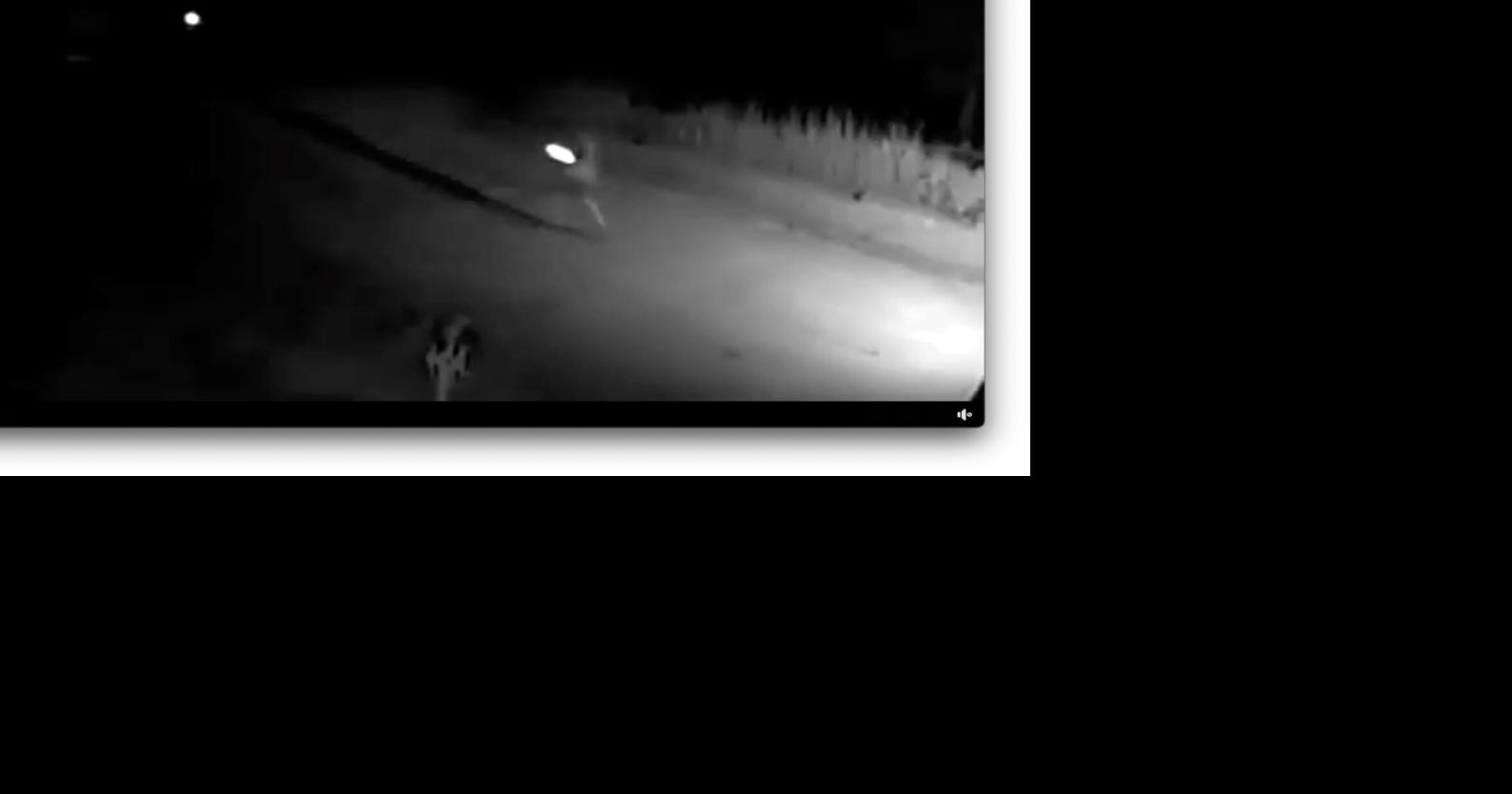 Video shows last known footage of missing Tyler Goodrich