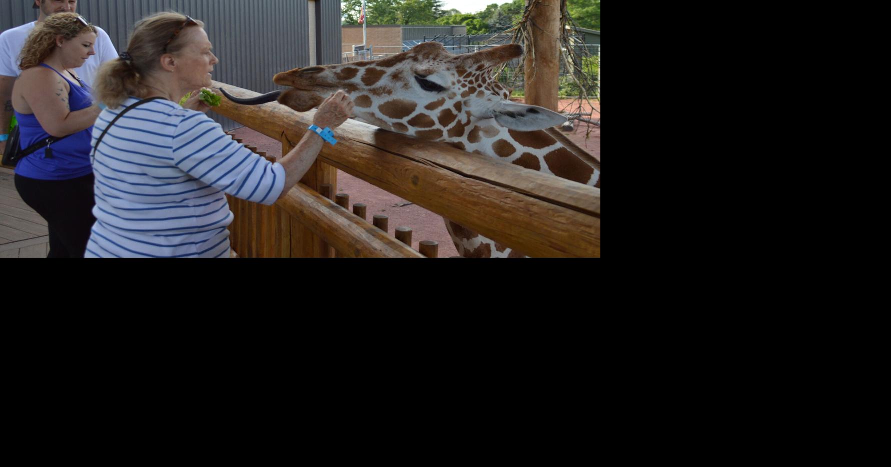 Brews at the Zoo draws 1,174 zoo animal supporters