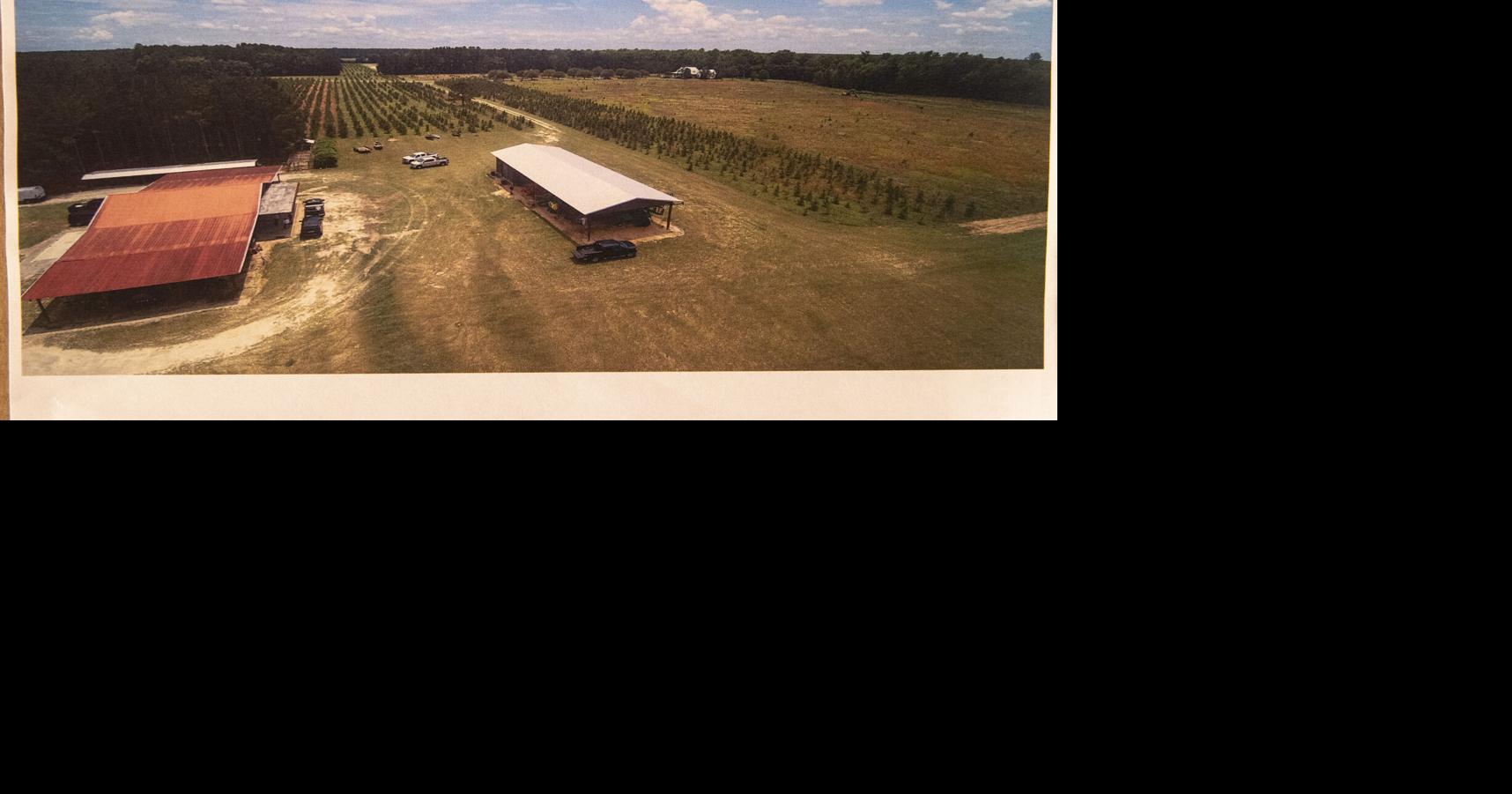 Farm and Food: Paying the price for being sick, old, or poor in rural ...