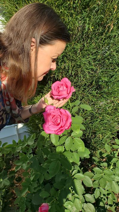 Lincoln Rose Society to host district show Sept. 24