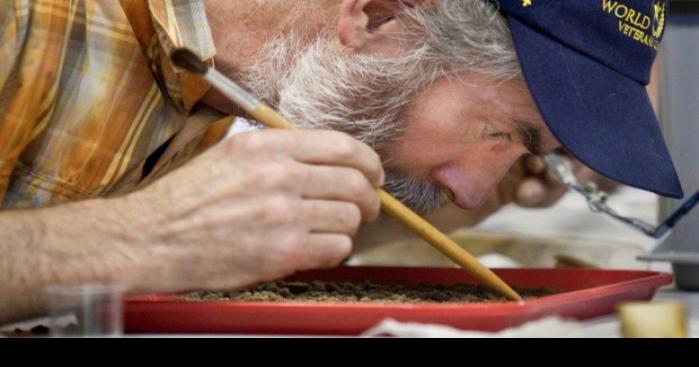 Photos: A helping hand for tiger beetles