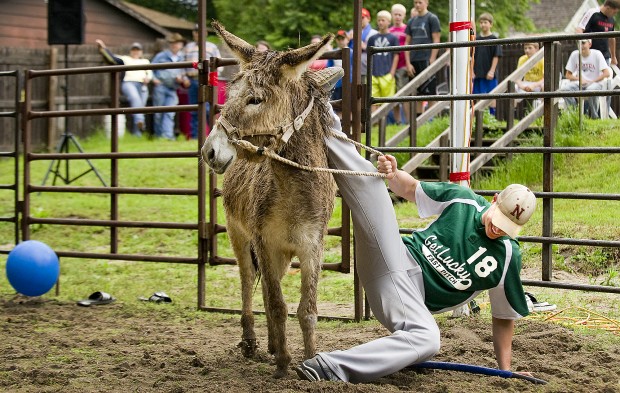 Palmyra bar revives once-popular donkey polo