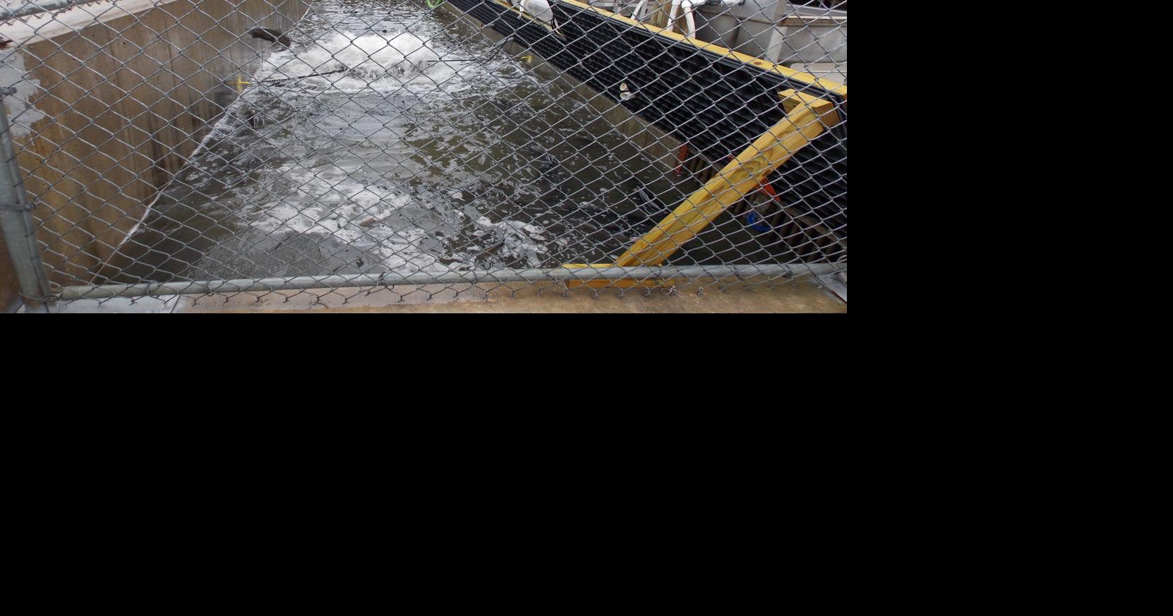 Root River Steelhead Facility open house set for Saturday