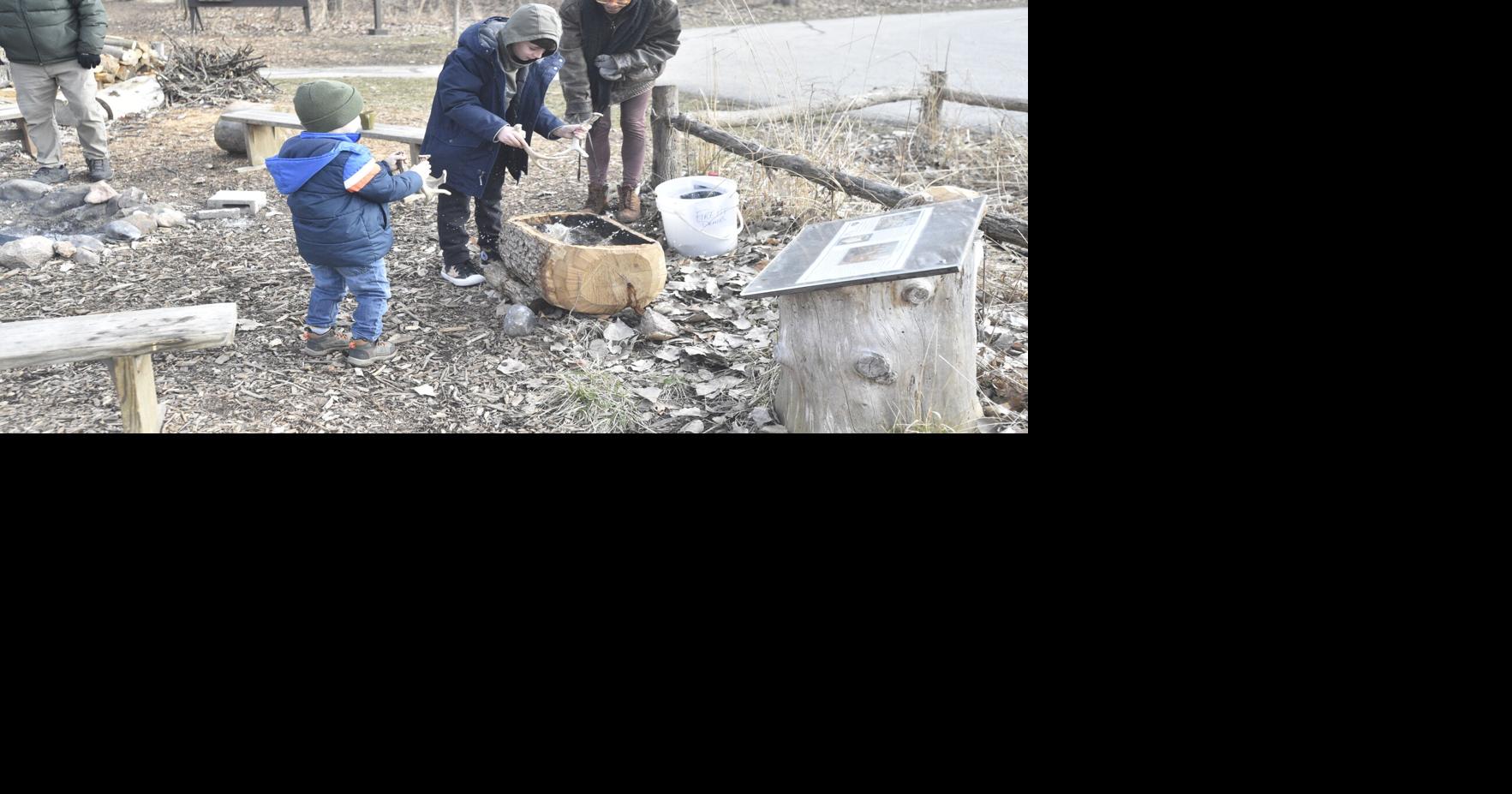 Learning how Native Americans made maple syrup