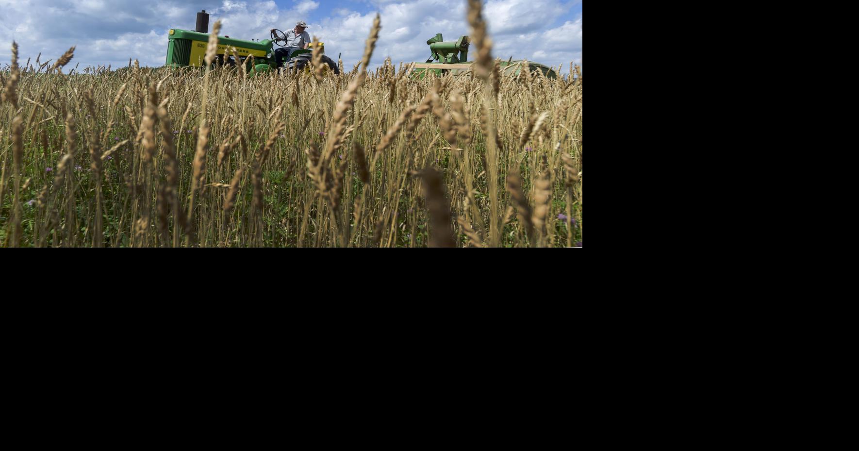 Rain shortage of 4-7 inches: Severe drought may be affecting local farms