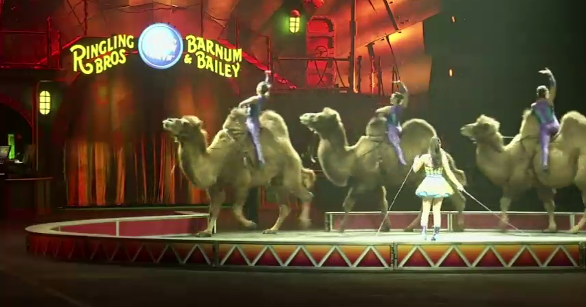 Traveling circus steering its way back to Waterford