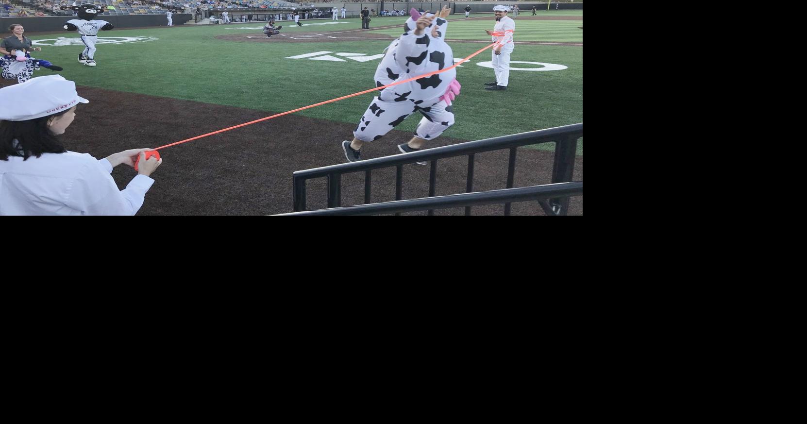 Milwaukee Milkmen bring new pro baseball team to Franklin