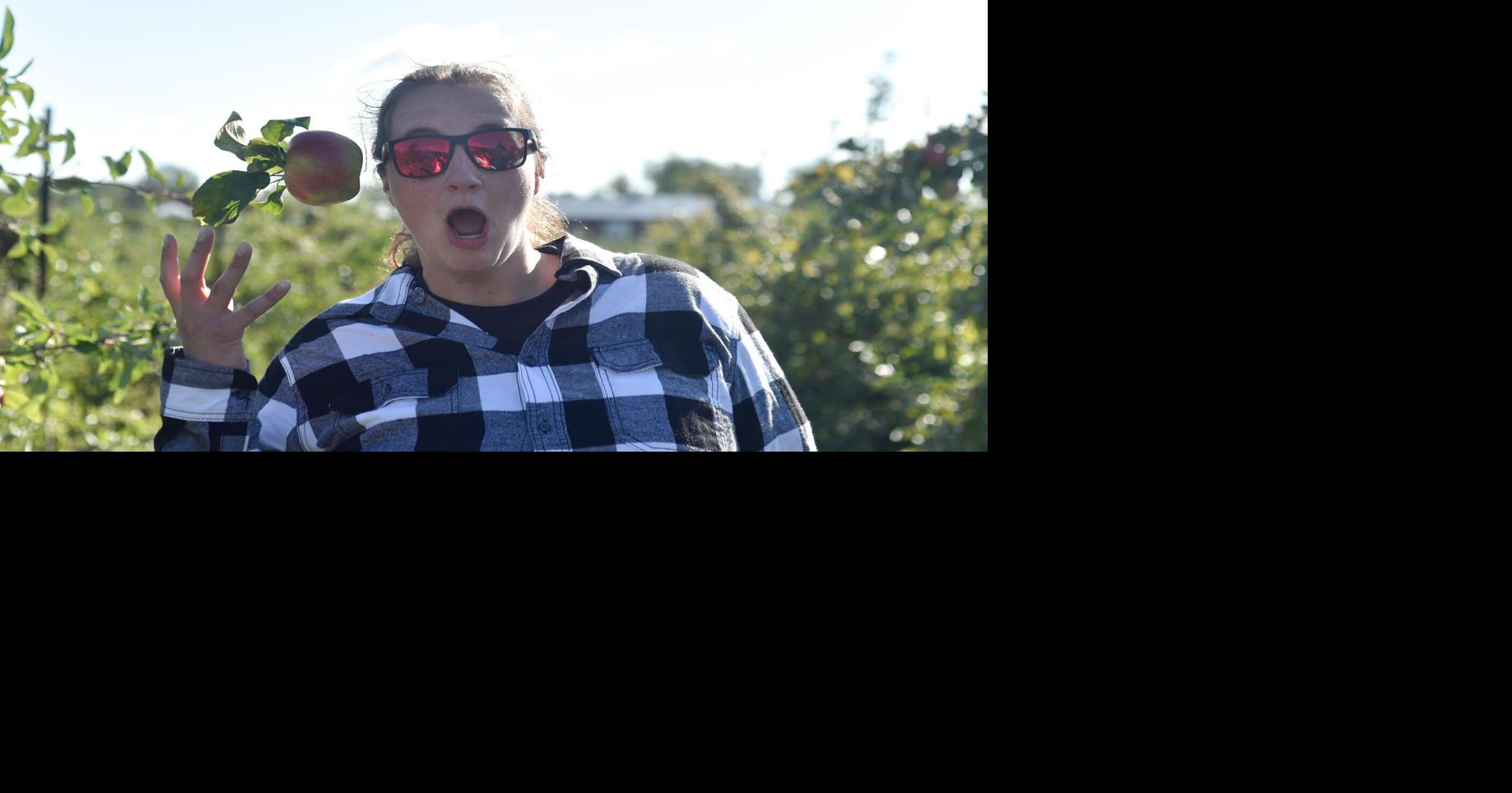 In photos: Apple picking on Rosh Hashanah at Apple Holler