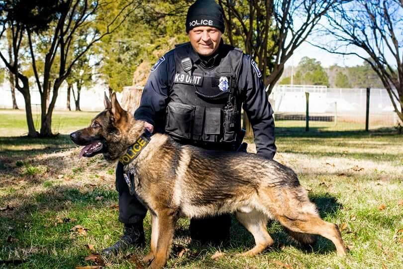 New police dog is Odin