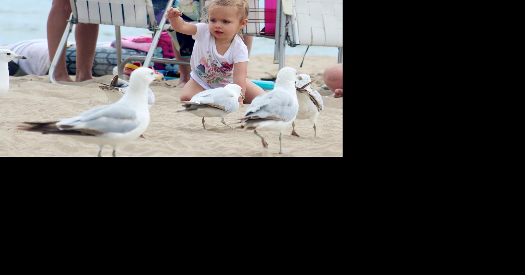 Racine's North Beach ranked as best beach in Wisconsin