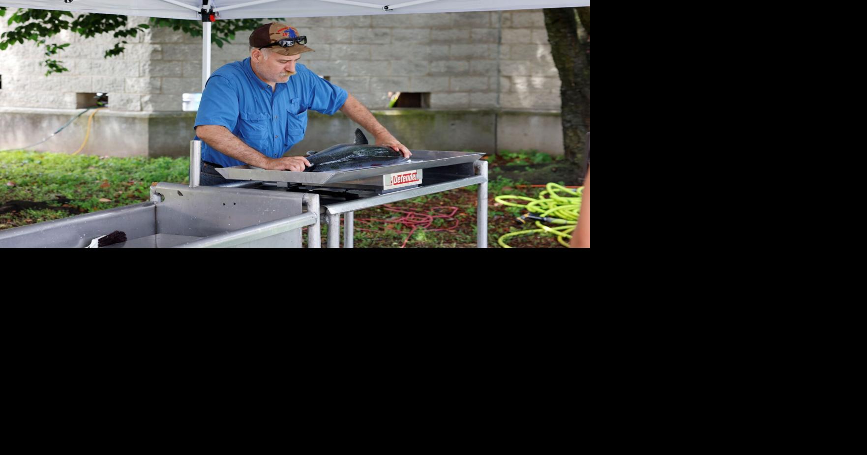 Salmon-A-Rama underway at Festival Park in Racine