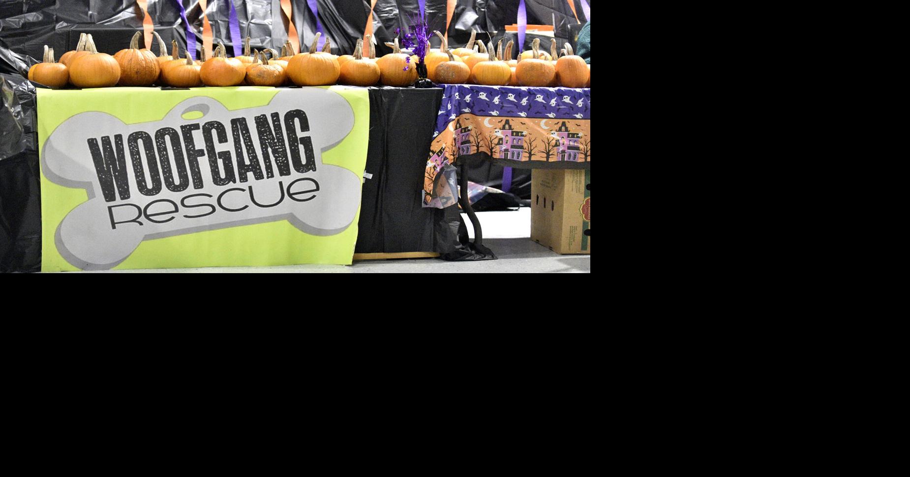 Racine event raises money for Woof Gang Rescue to help dogs