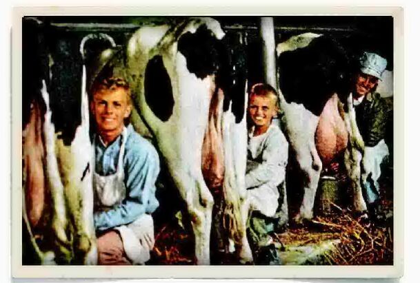 Journey back in time