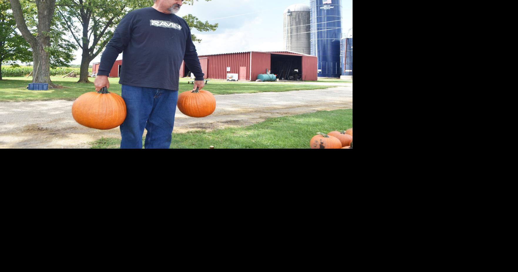 'Tis the season for pumpkins and other symbols of fall on this Racine ...